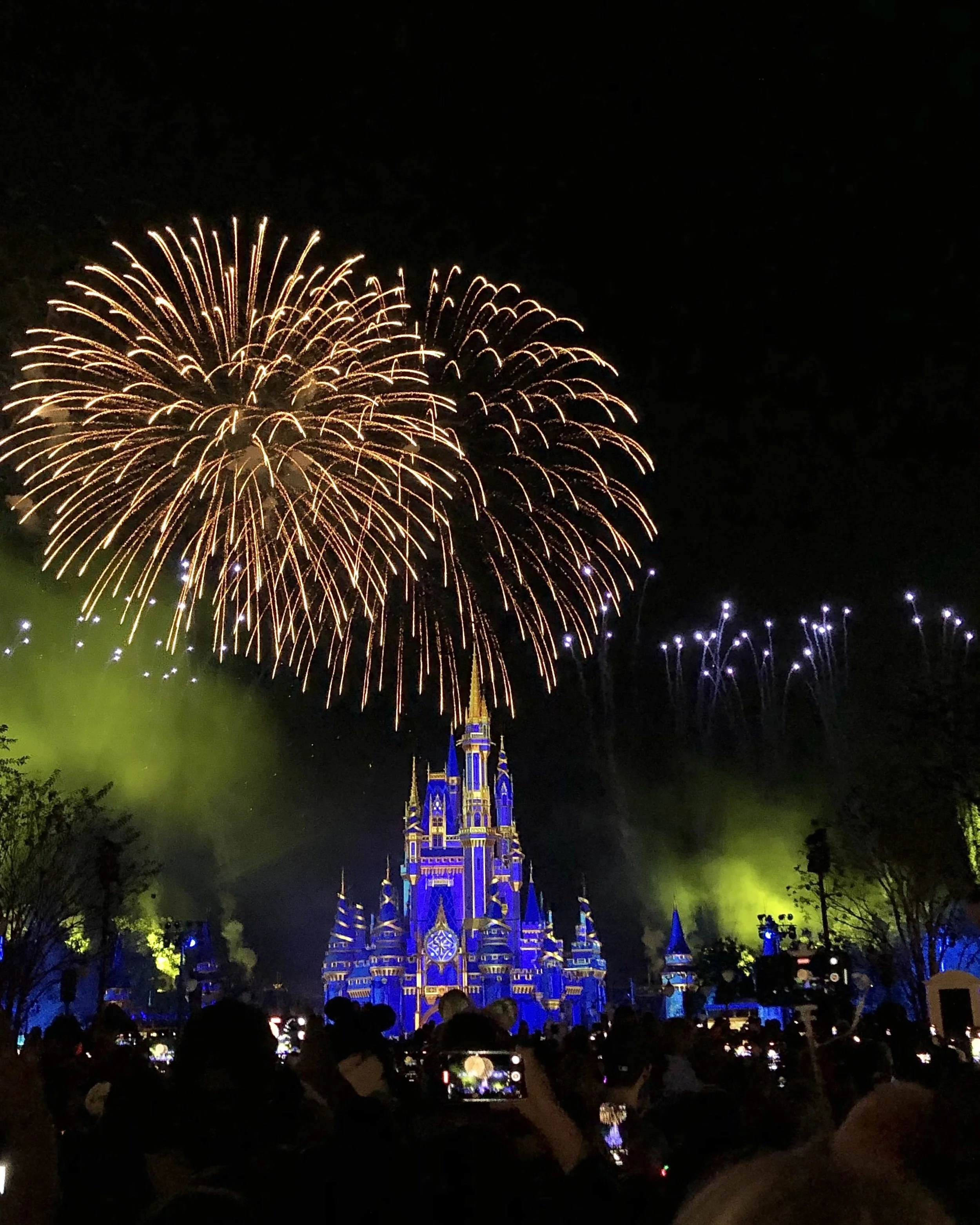 Your Complete Guide to Magic Kingdom Fireworks in 2026 | The Exploreist