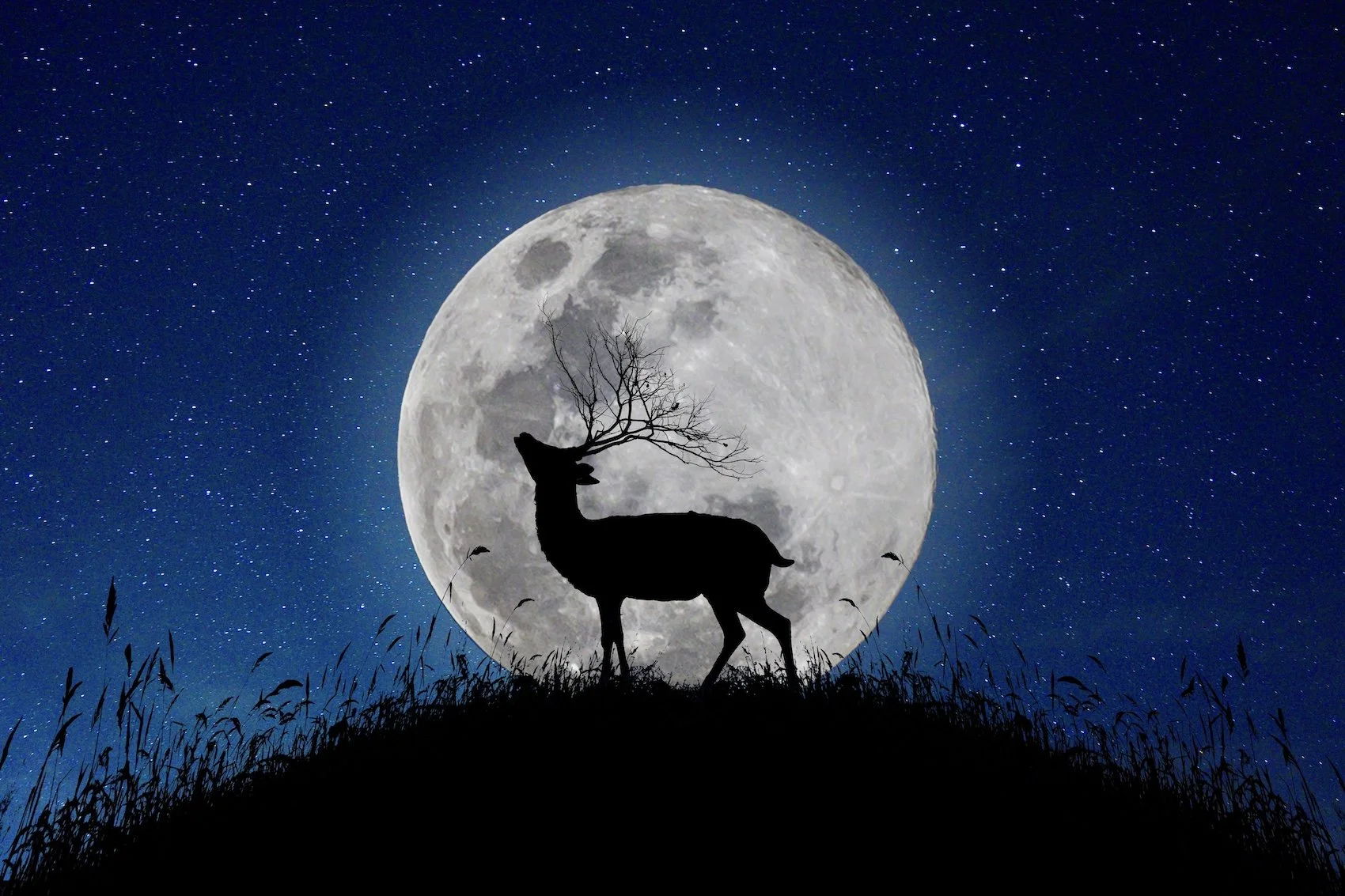 The Full Buck Moon Peaks on July 10, Symbolizing Growth, Strength, and ...