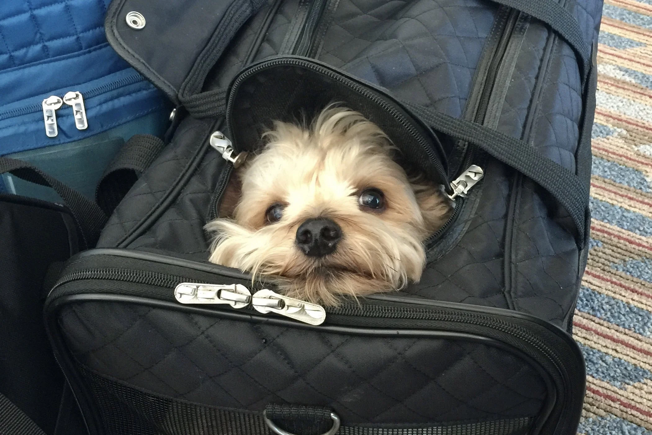 Here Are All the Reasons You Can Get Kicked Off a Flight | The Exploreist