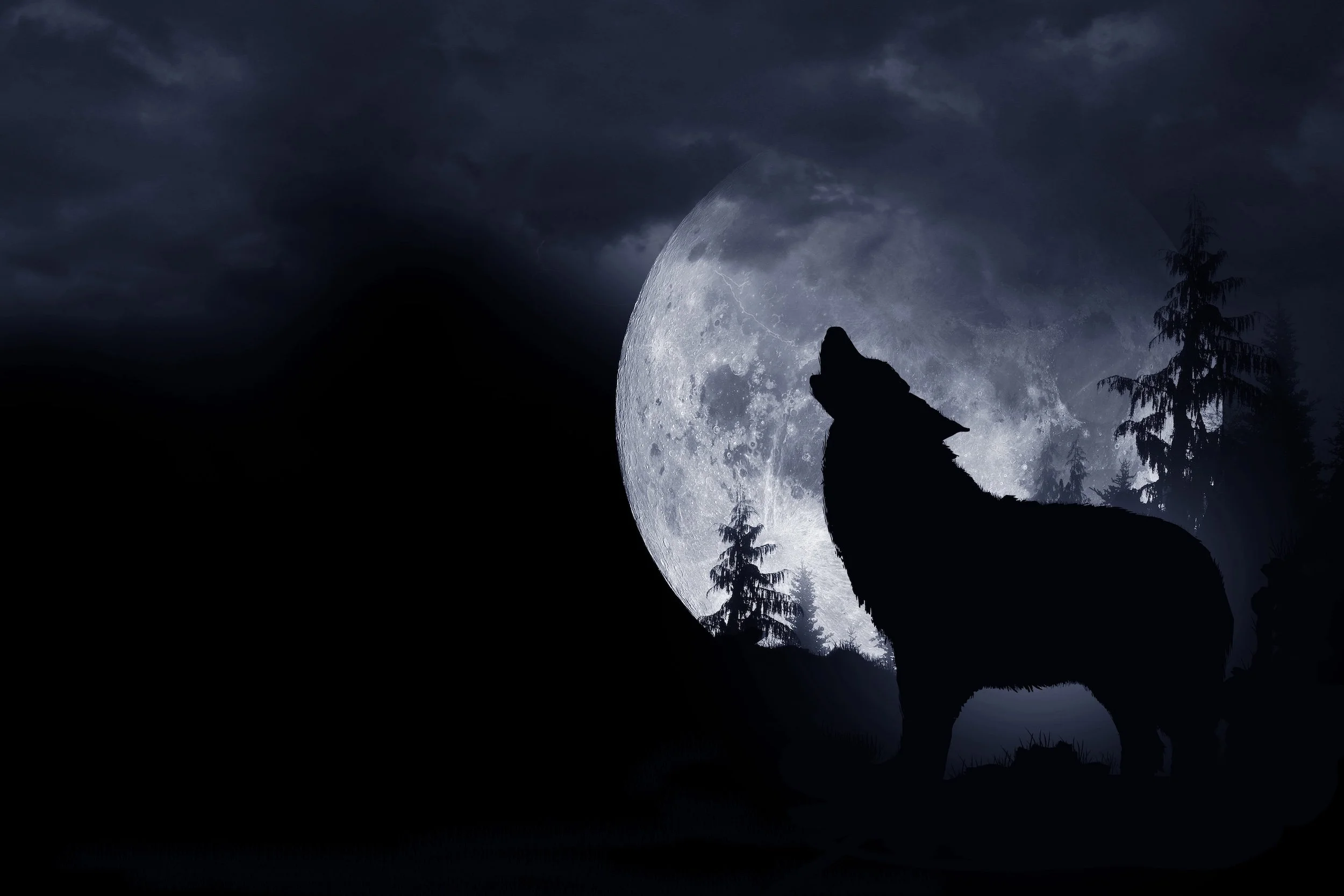 The First Full Moon of 2026, Known as the Wolf Moon, Peaks on January 3 ...