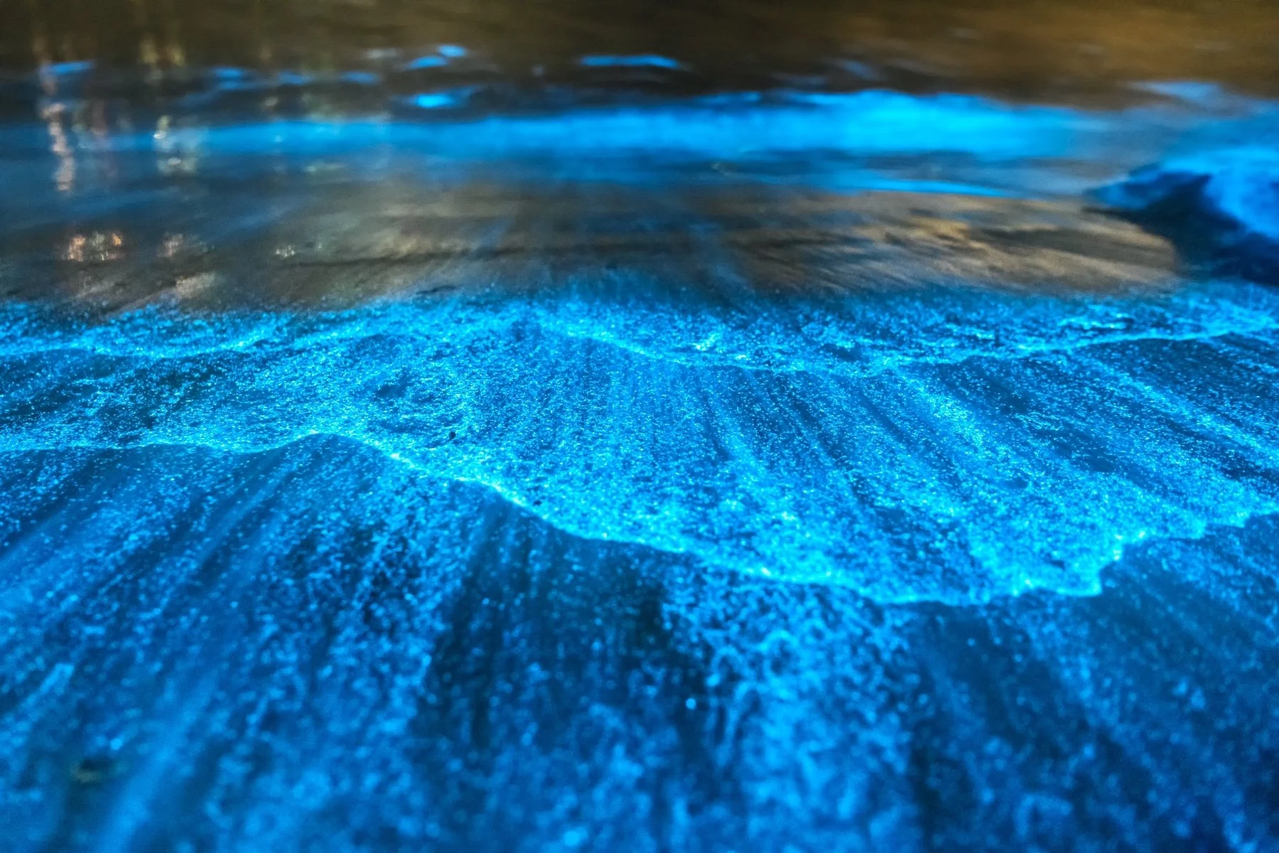 Your Guide to Mosquito Bay, Puerto Rico’s Brightest Bioluminescent Bay ...