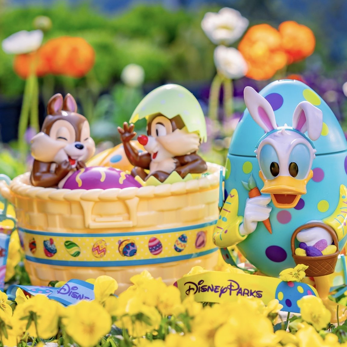 30 Best Disney Popcorn Buckets Every Collector Wants to Get Their Hands ...