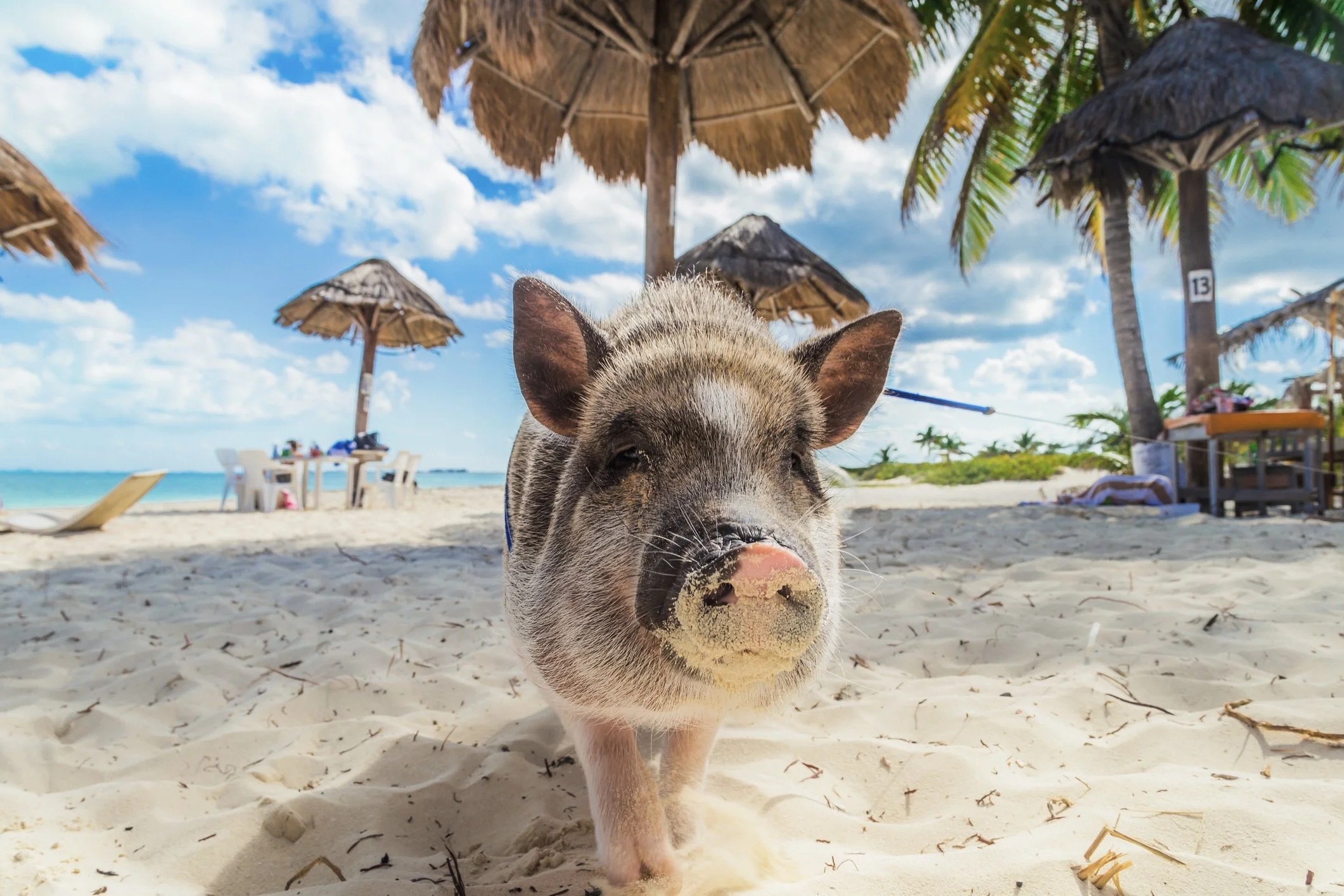 15 Best Islands in the Caribbean to Visit | The Exploreist