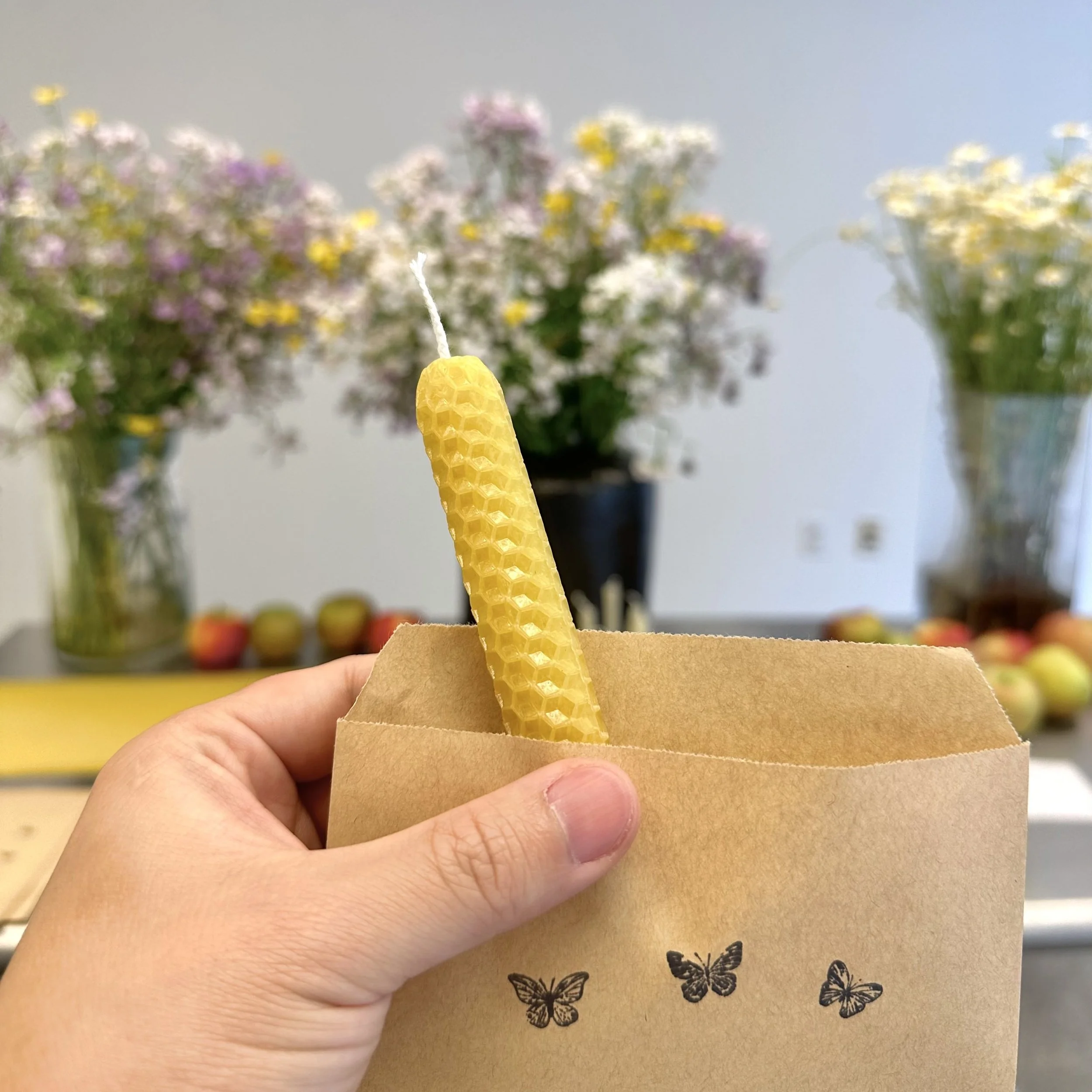 An Artful Immersive Experience About Bugs, The Insect World, Just ...