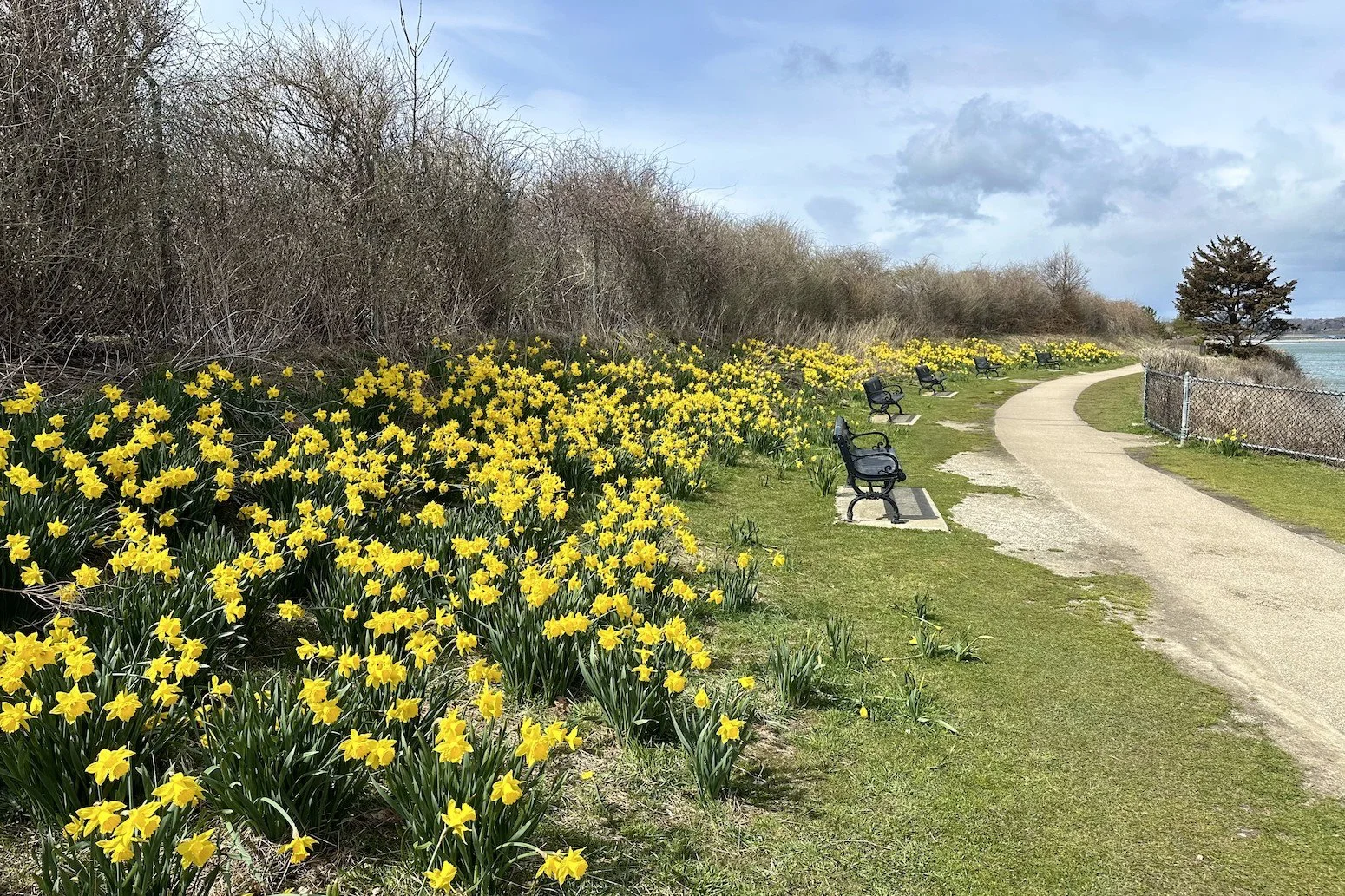 12 Best Things to Do in Newport, Rhode Island | The Exploreist