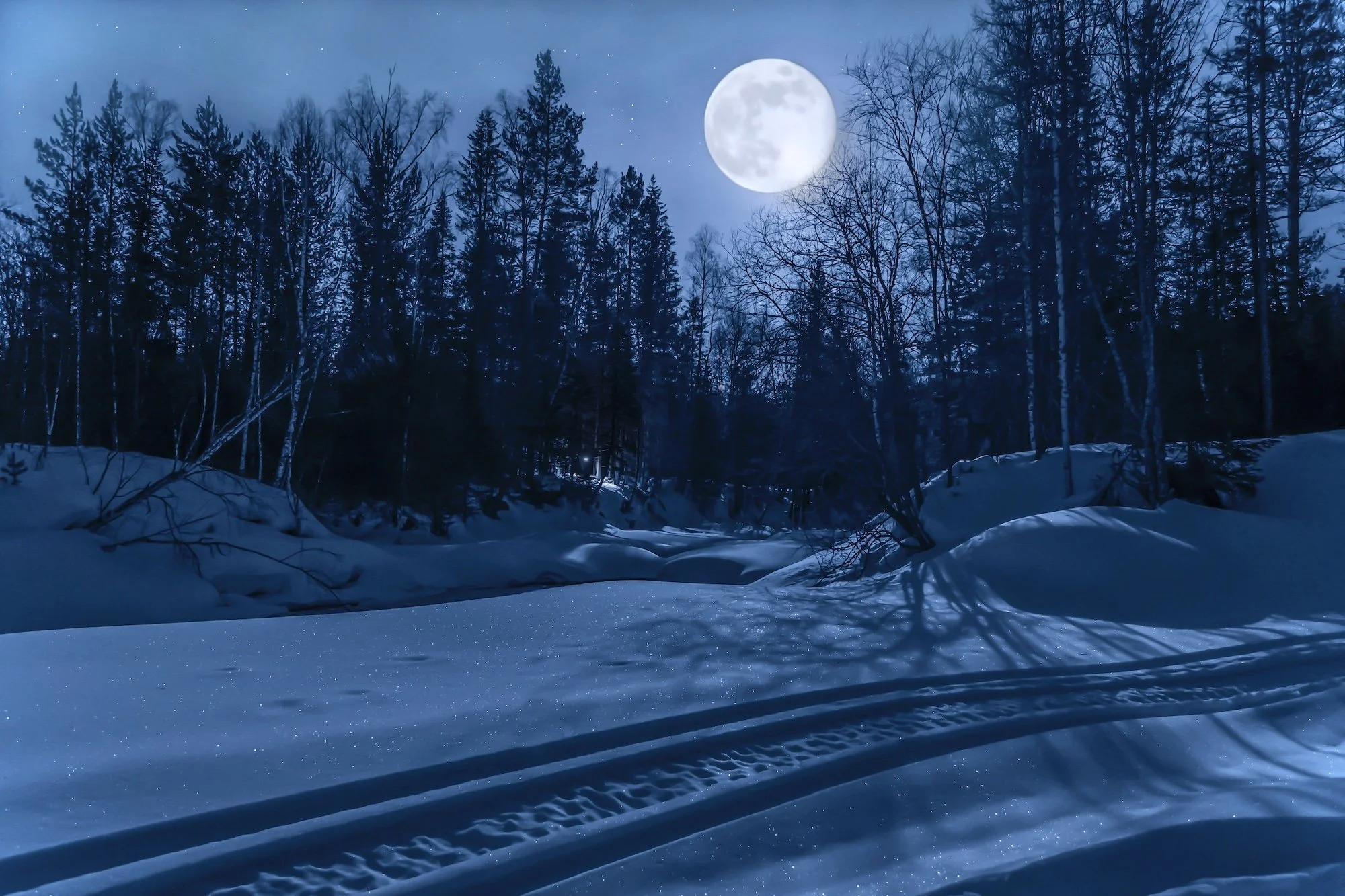 From the Pink Moon to the Beaver Moon, Here Are the Meanings of the ...