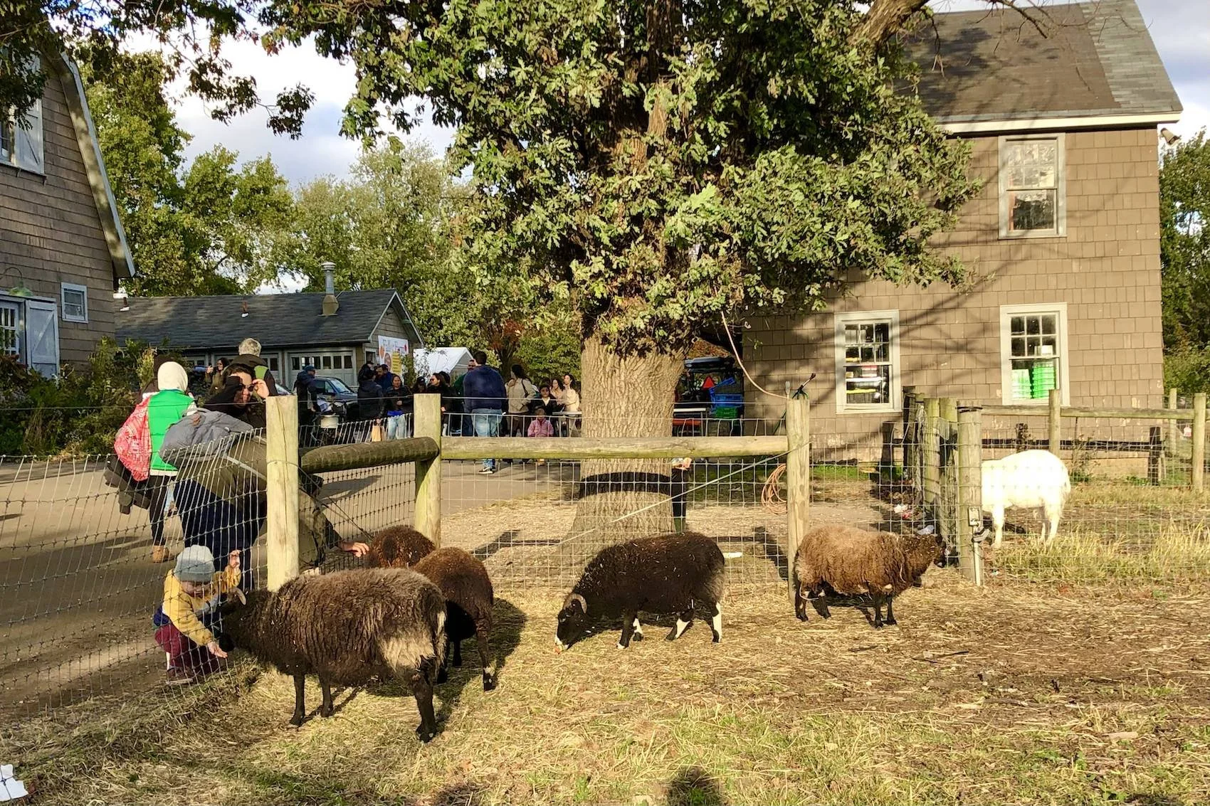 20 Best Things to Do in Queens, According to a New Yorker | The Exploreist