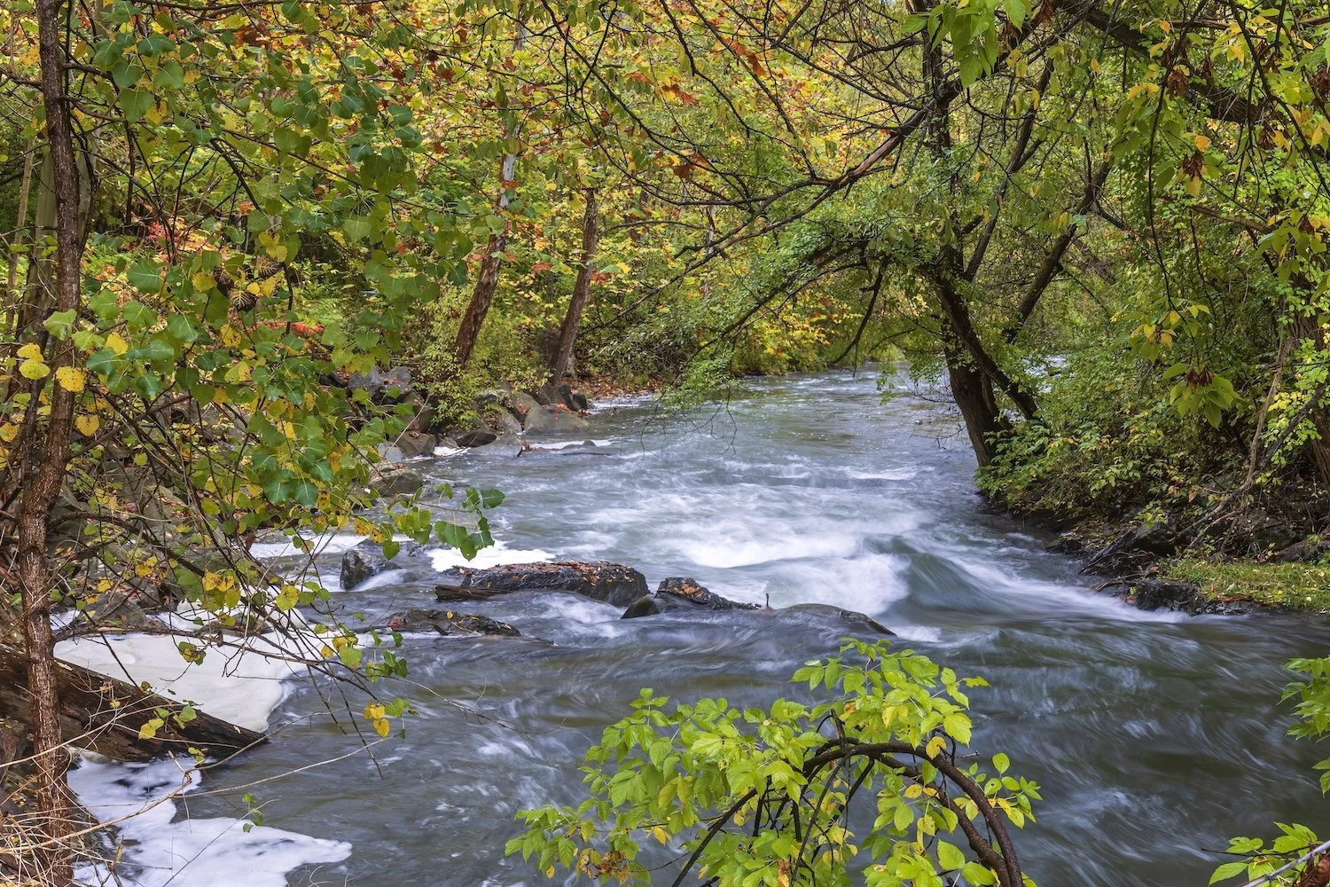 Penn Yan, Just Two Hours From NYC, Has Rolling Vineyards, Boat Rides ...