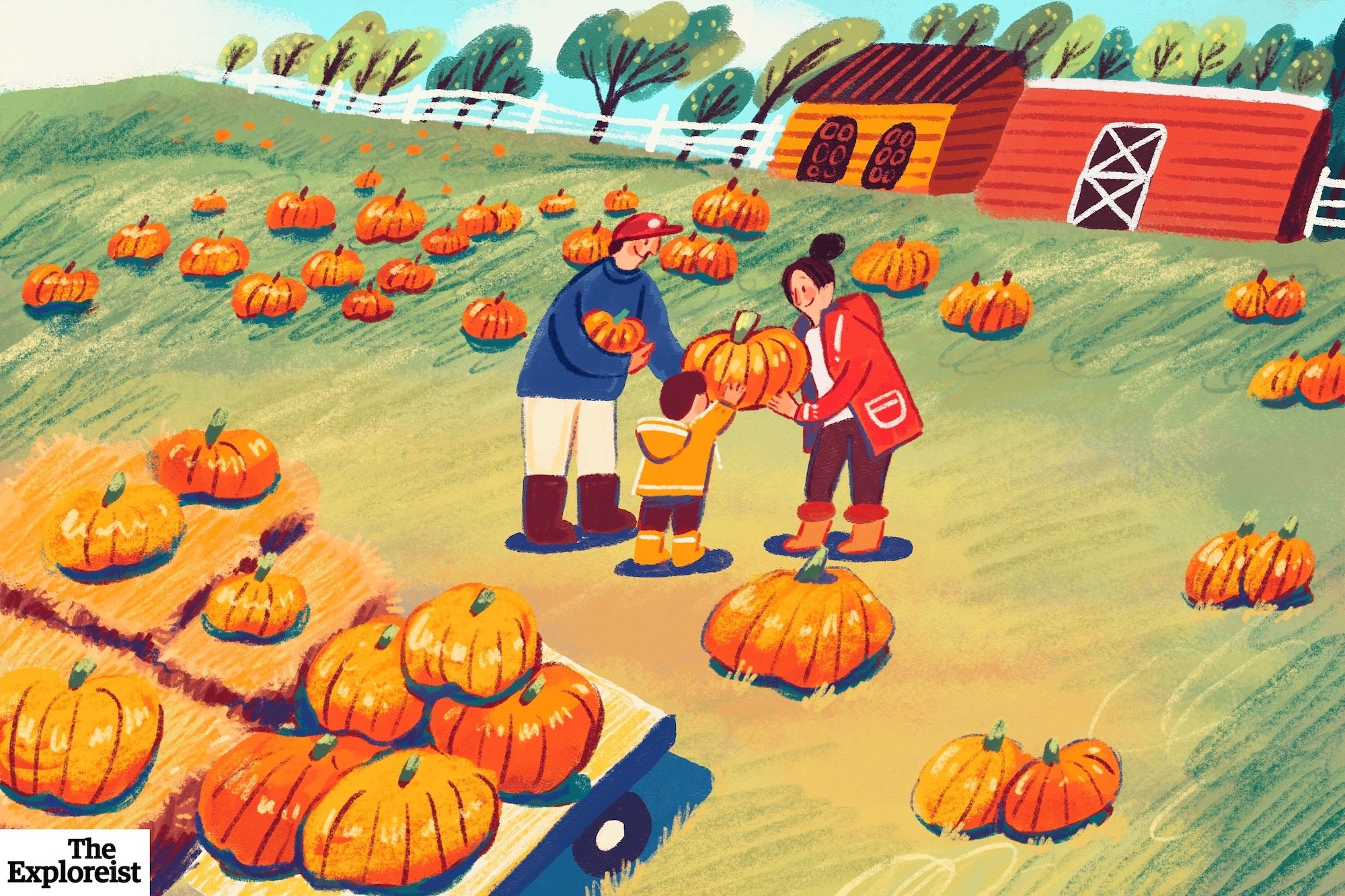 16 Best Pumpkin Patches in and Around New York City | The Exploreist