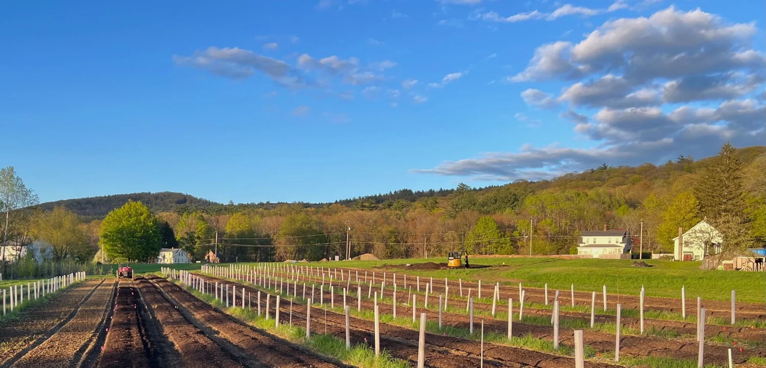 About — Yellowbud Farm