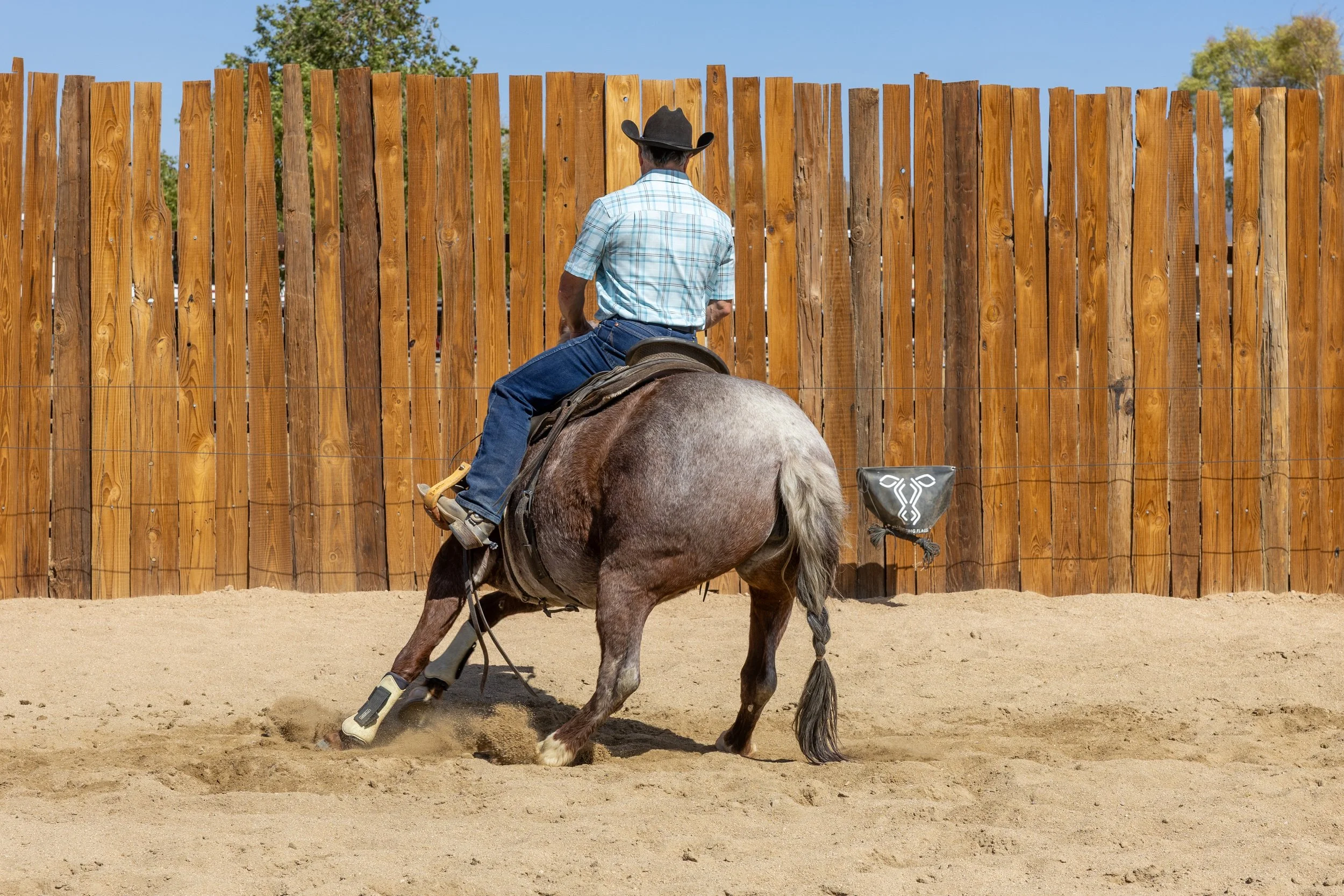 BLI Cutting Flags: Mechanical Cow Training System