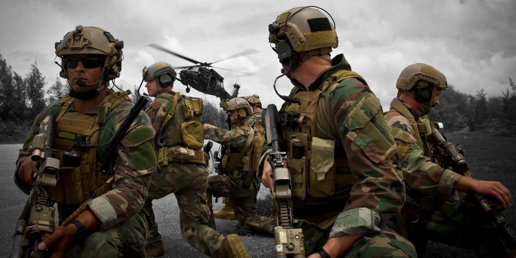 SDB-08 // M81 Woodland: The Icon — SOTURI