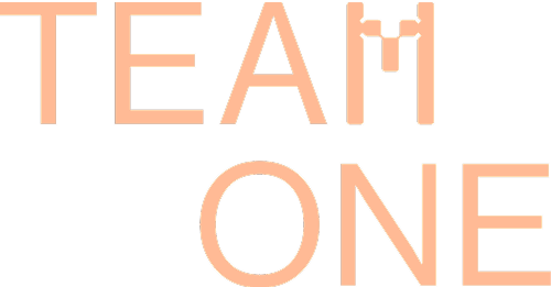 Contact — team one