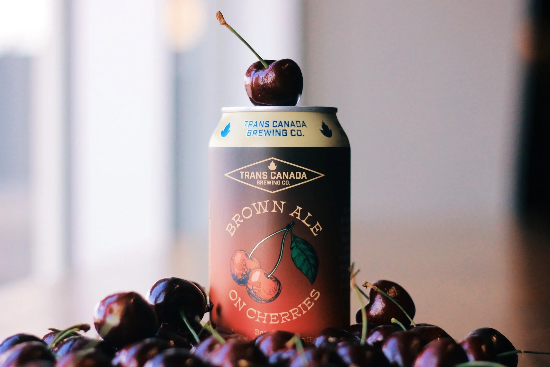 The TCB Mixer — Trans Canada Brewing Company