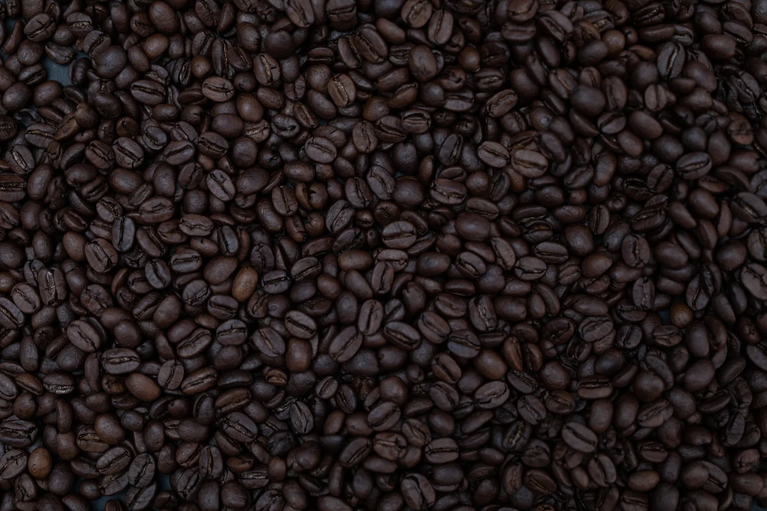 Crooks coffee | Wake up with the best | Santa Rosa's coffee shop