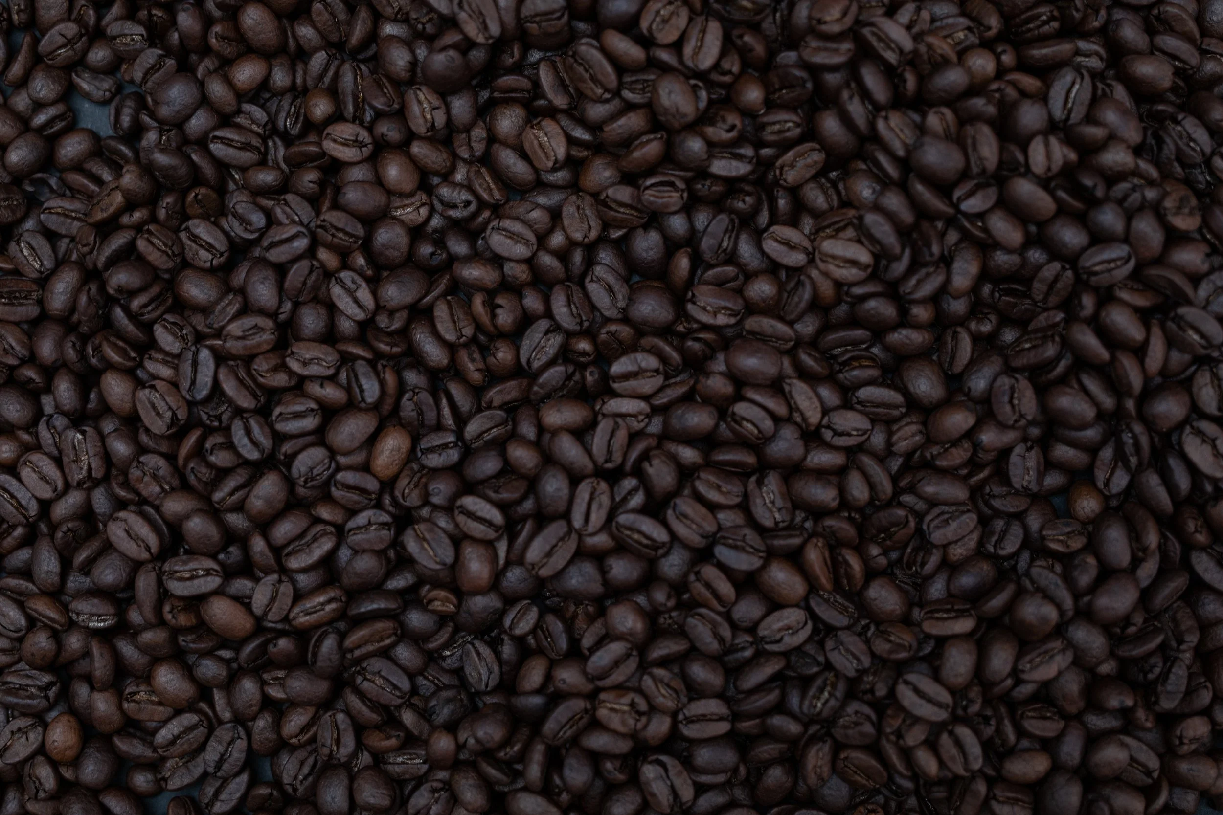 Crooks coffee | Wake up with the best | Santa Rosa's coffee shop