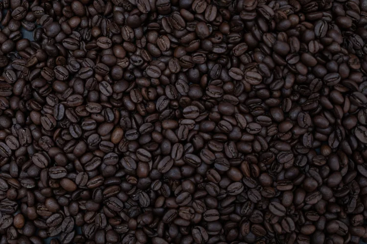 Crooks coffee | Wake up with the best | Santa Rosa's coffee shop