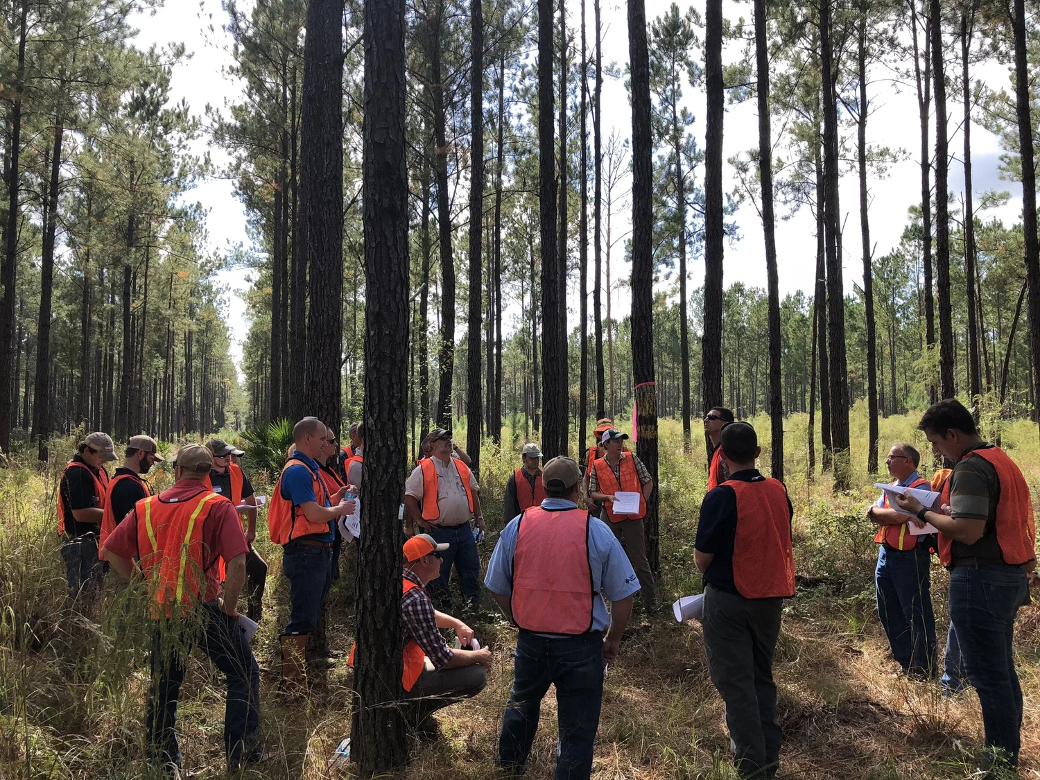 Forest Productivity Cooperative