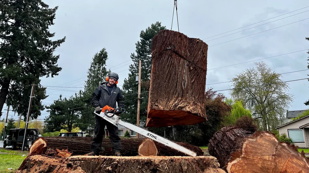 Our Team at King's Tree Service — KING'S TREE SERVICE LLC