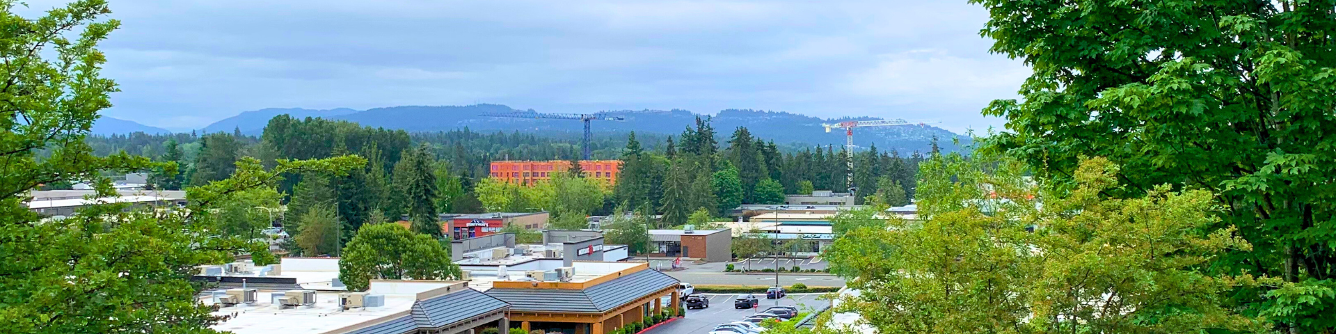 News — BelRed Arts District