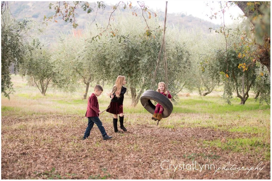 The Lipski Family | Crystal Lynn Collins — crystal lynn collins