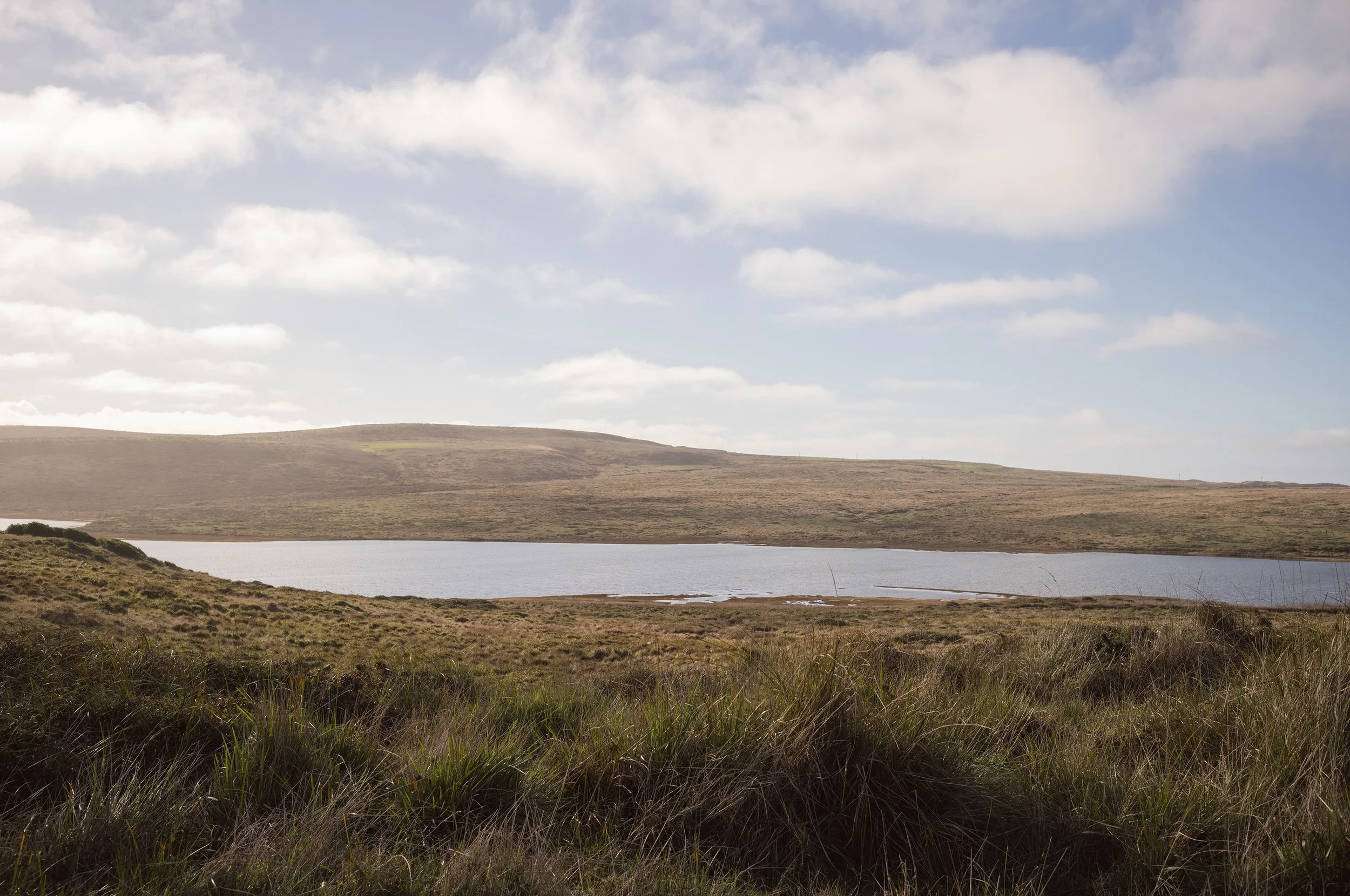 bull point trailhead | point reyes — crystal lynn collins