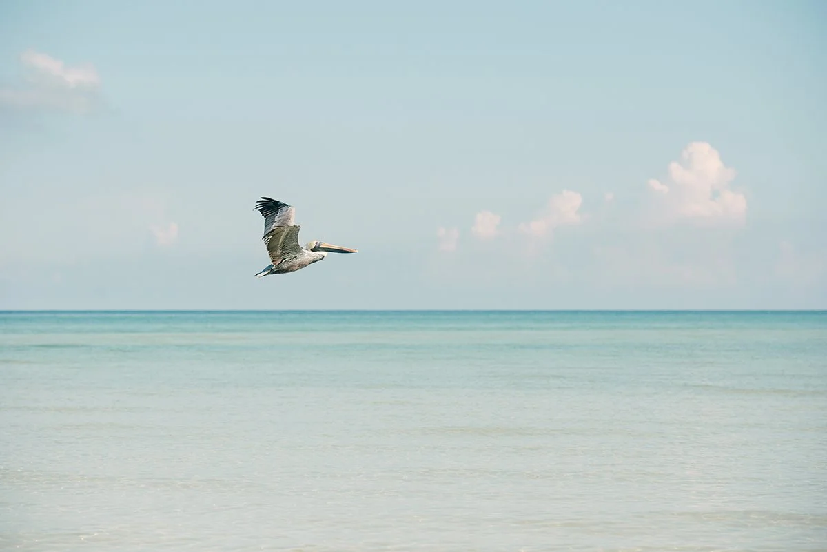 home goods — crystal lynn collins