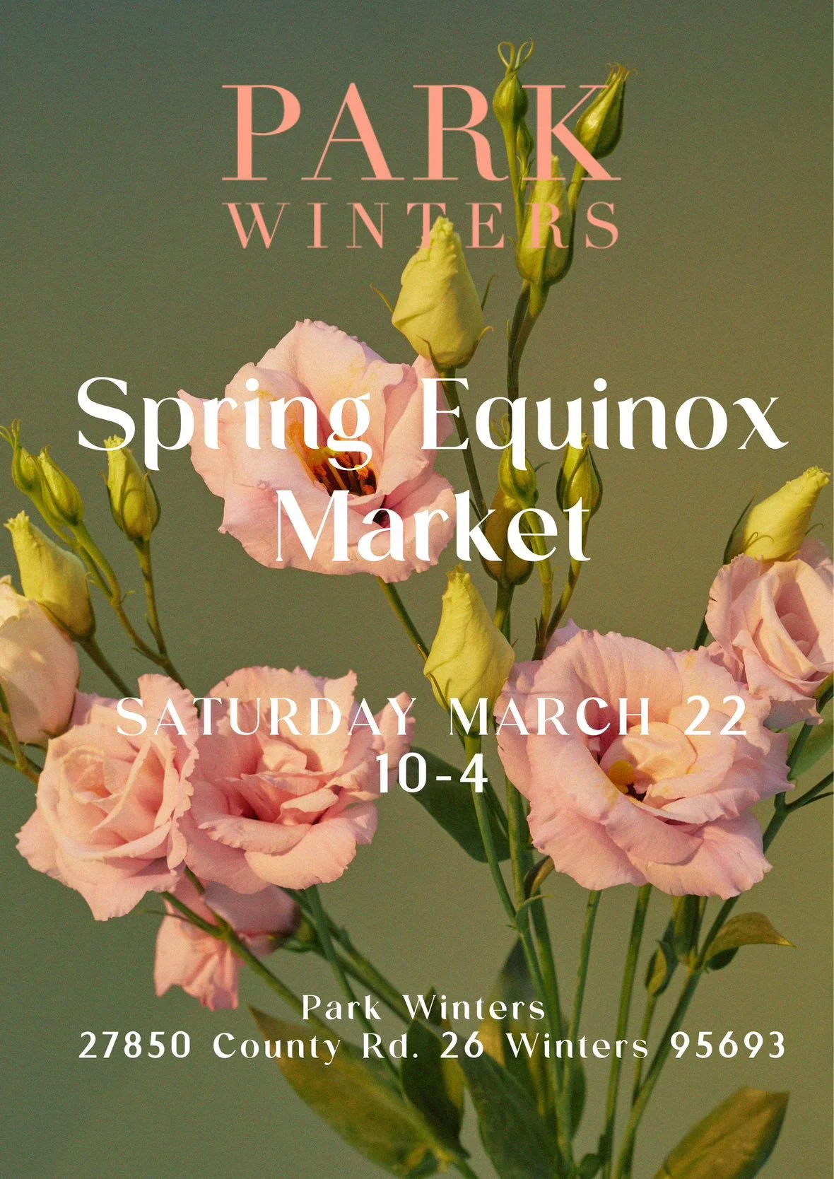 Park Winters Spring Equinox Market — crystal lynn collins