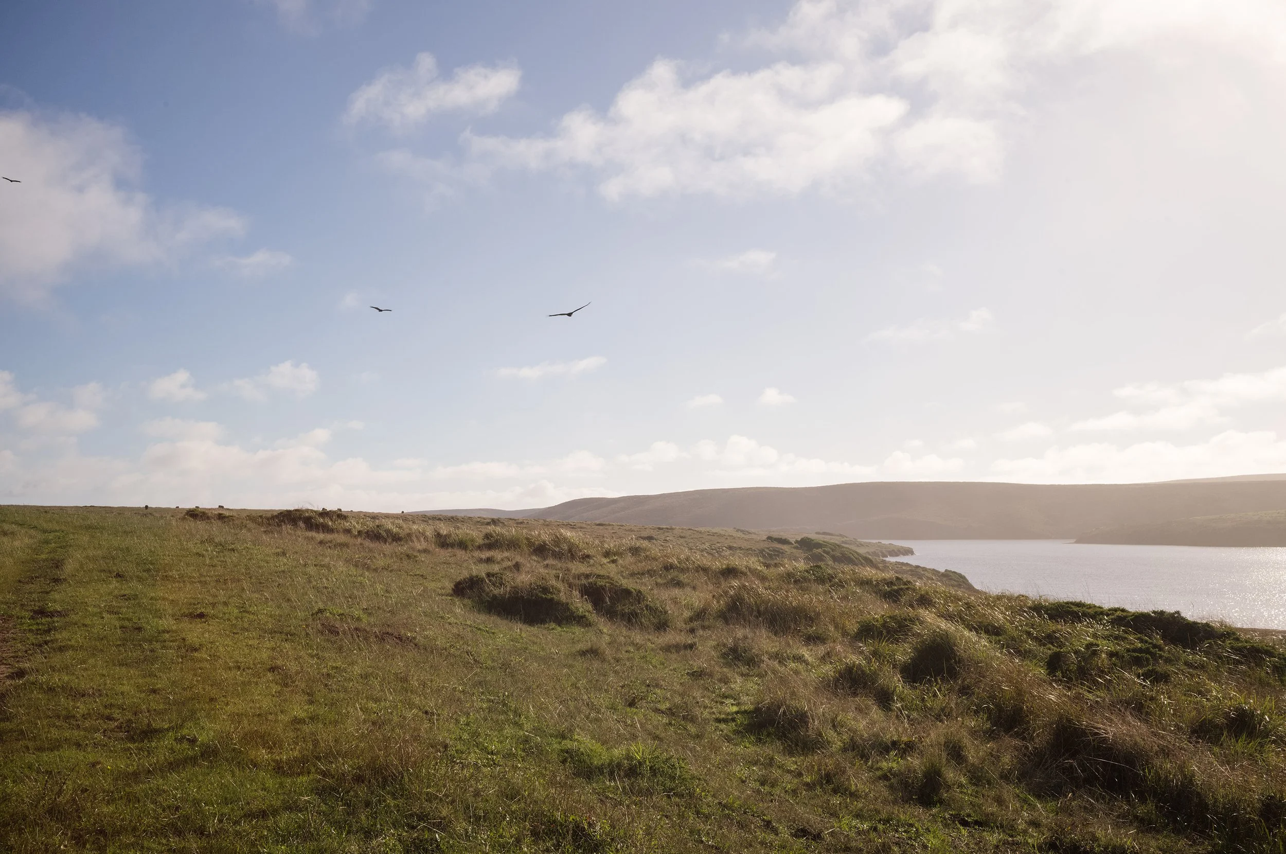 bull point trailhead | point reyes — crystal lynn collins