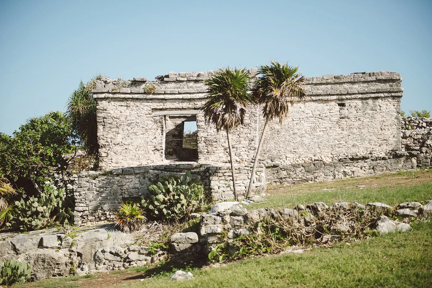 mayan ruins tulum, mexico — crystal lynn collins