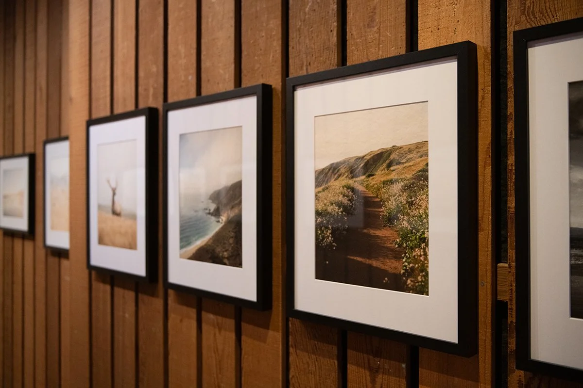 Fine Art Photography Exhibition at Point Reyes National Seashore ...