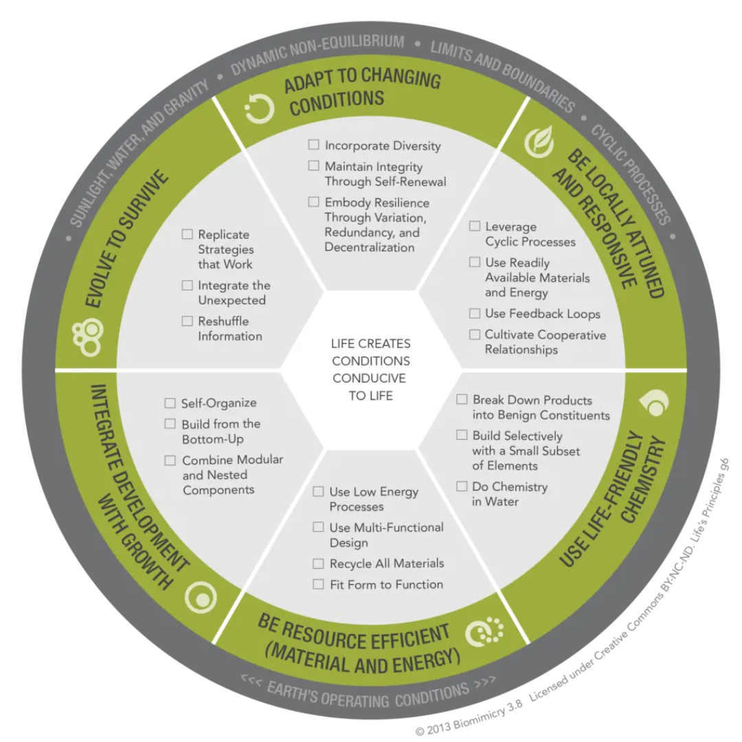 Activism and Biomimicry — Georgia Interfaith Power and Light