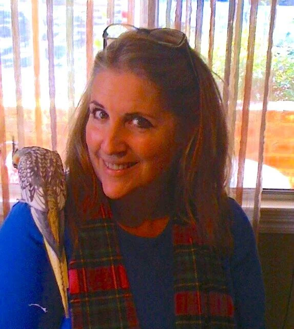 Lisa Feintech — Brentwood Art Center