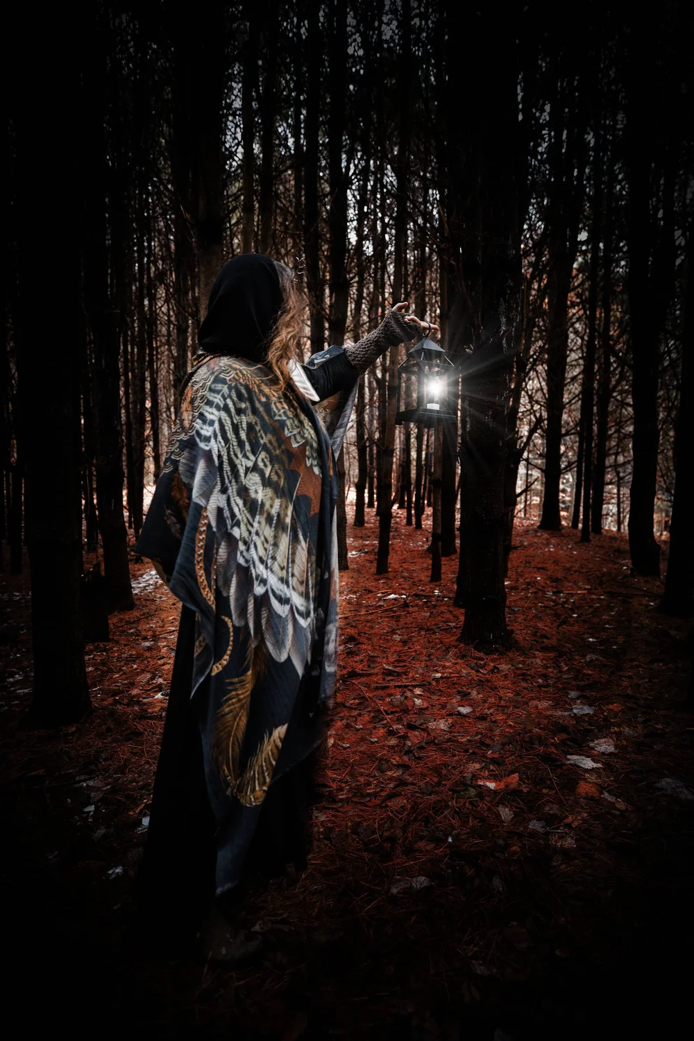 Shamanic Trainings, Immersions, Summer Camps, Soul Sessions & Online ...
