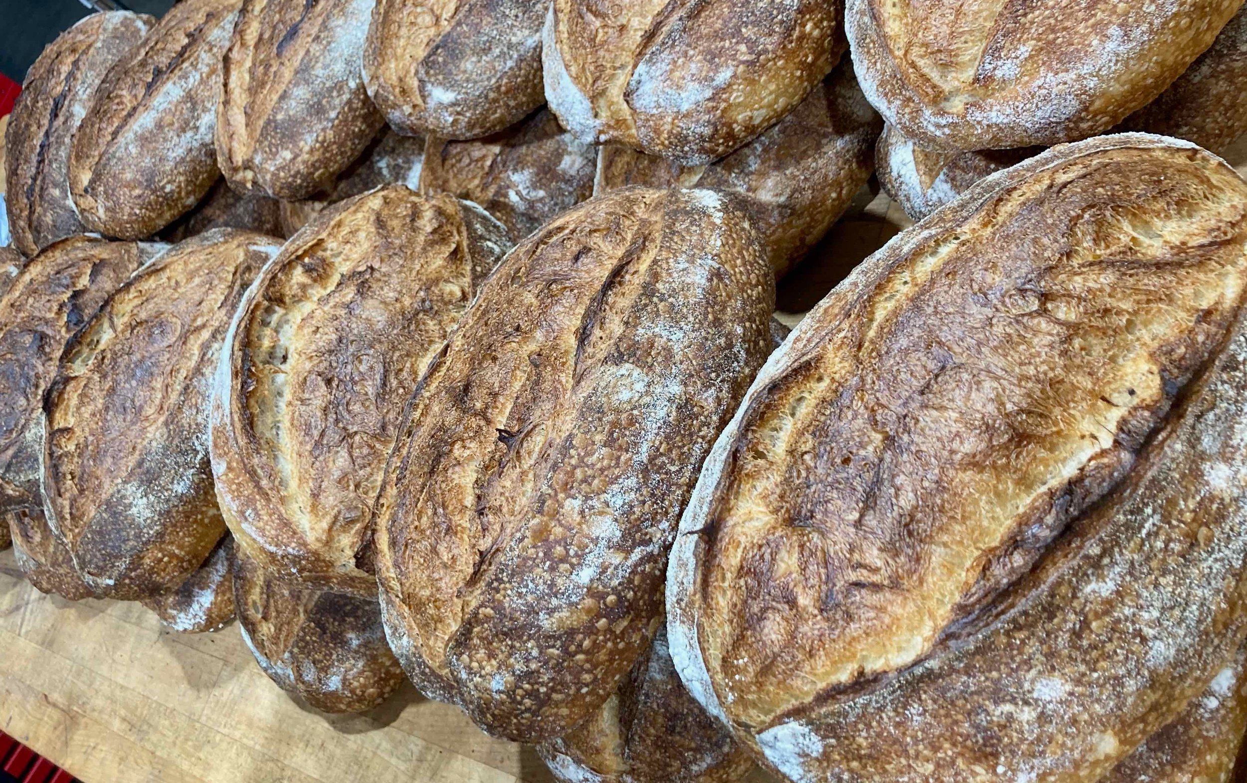 Bread — Camina - Chico, CA