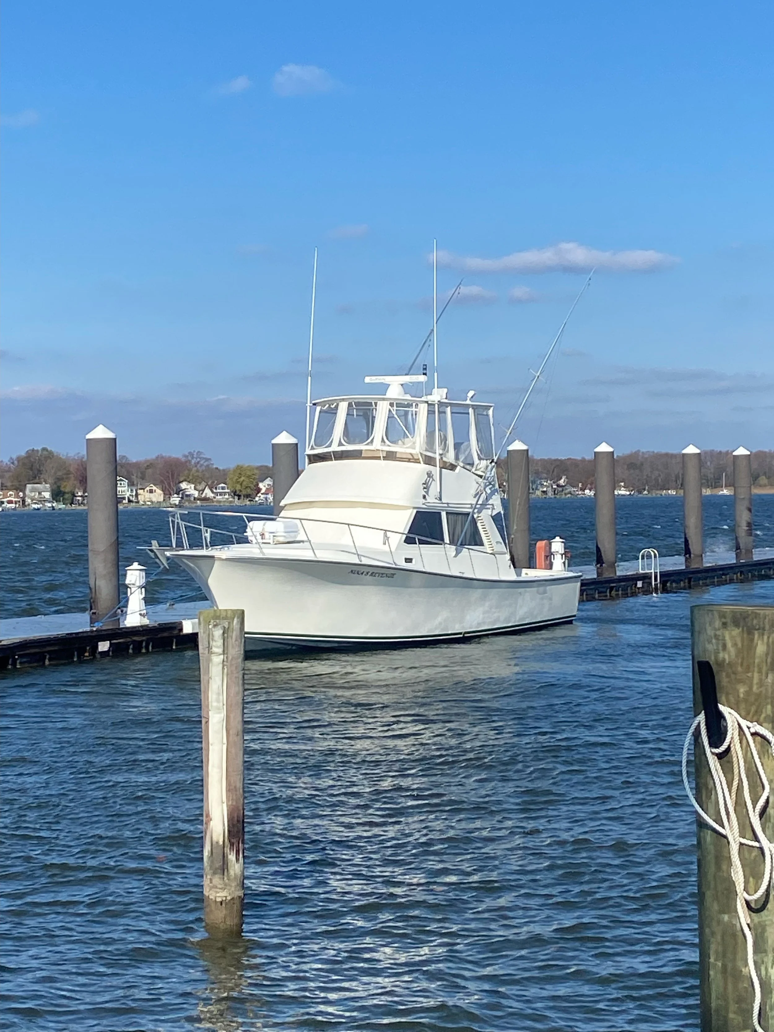 About 5 — Split Bill Sportfishing