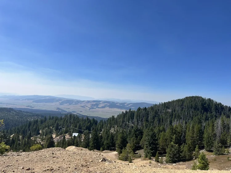 Rachel Bateman—Author, Screenwriter, Podcaster