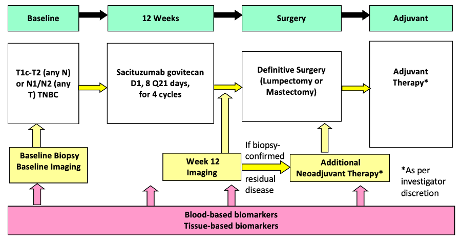 NeoSTAR - ADCs in Neoadjuvant Triple Negative Breast Cancer? — Oncology ...