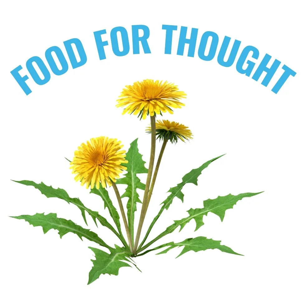 Traditional Foods: The Delightful Dandelion — Kw'umut Lelum