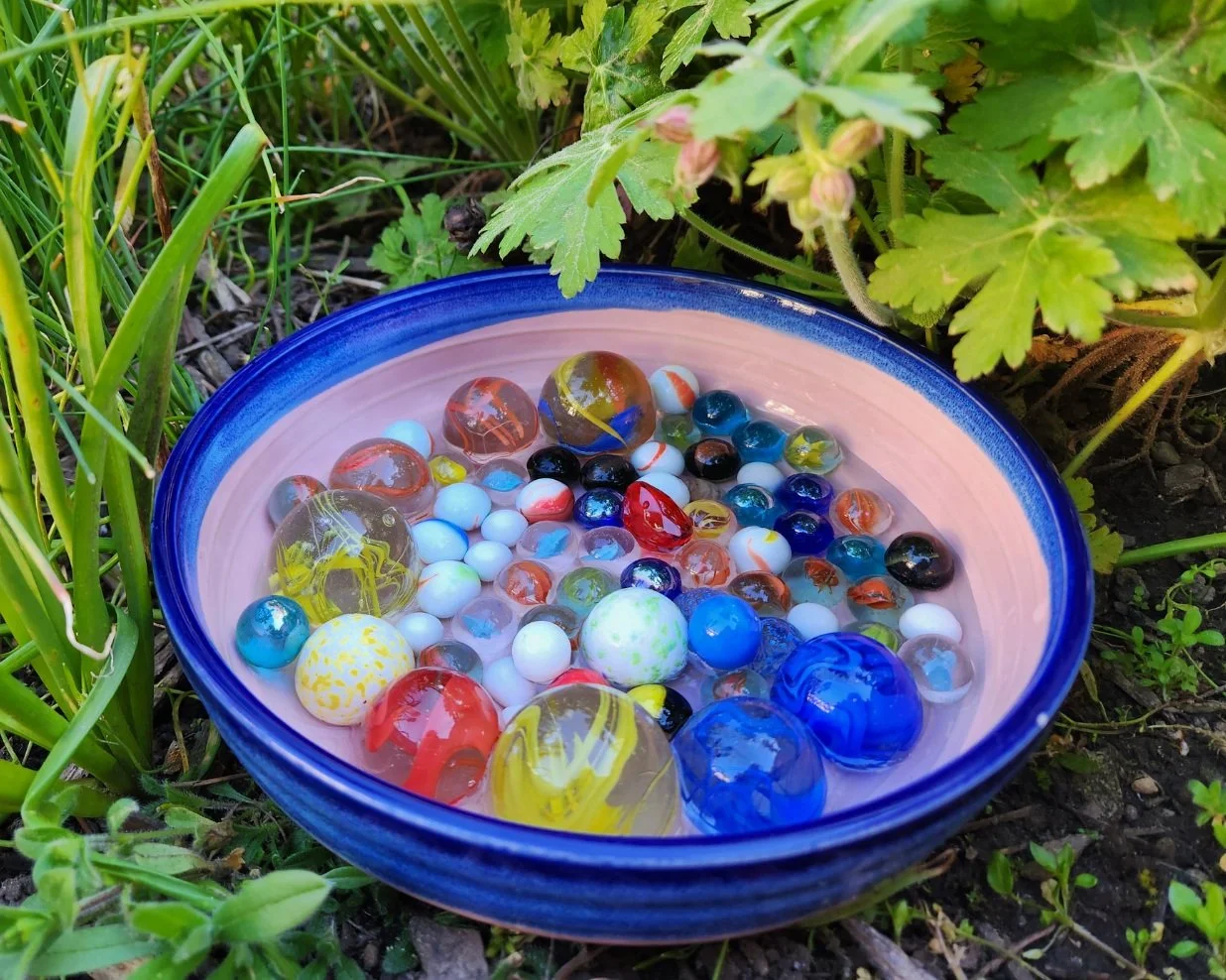 Create a Pollinator Watering Station — Kw'umut Lelum