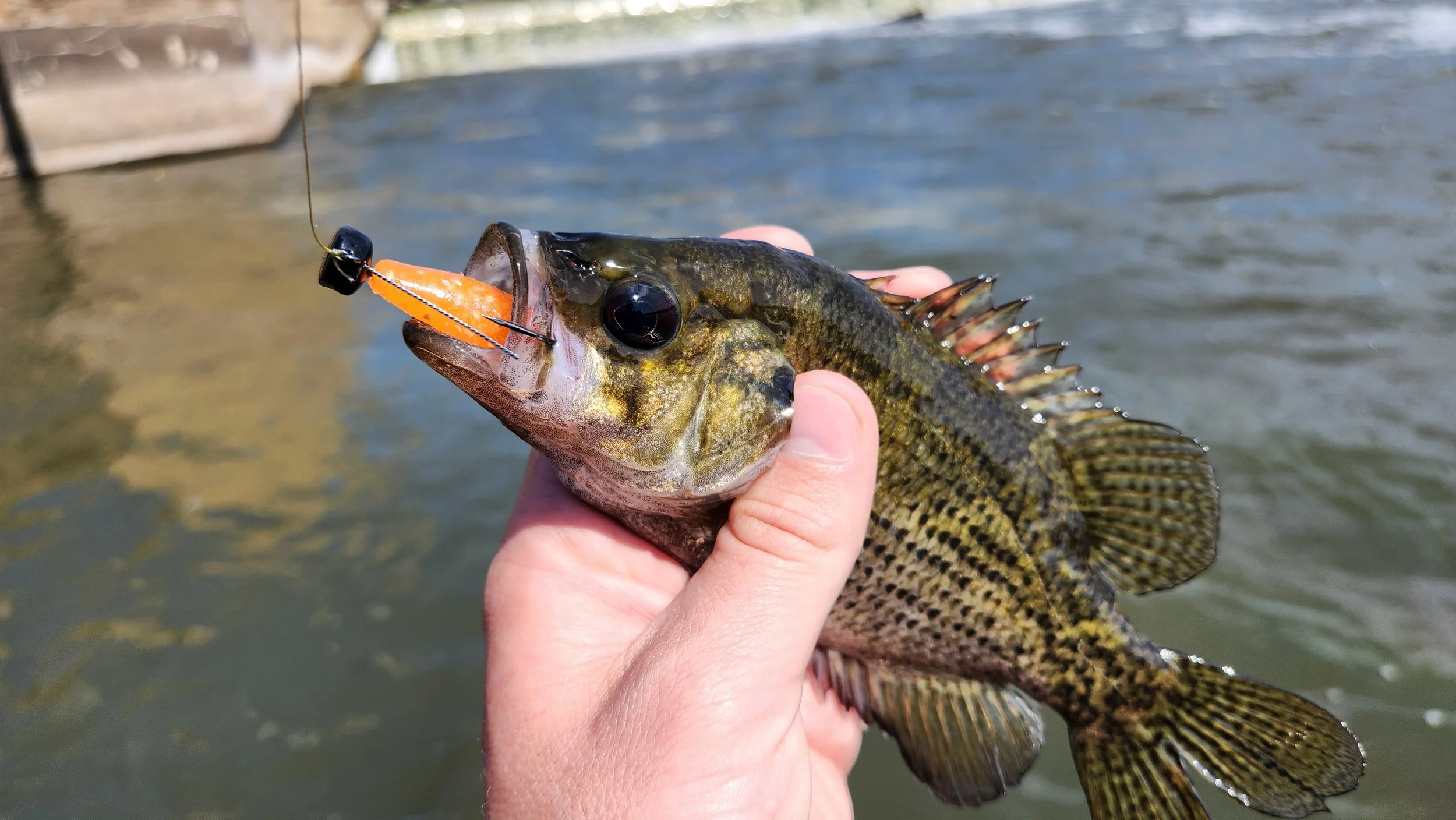 Gallery 1 — Engineering Hooksets