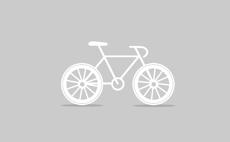 Cornell Autonomous Bicycle Team