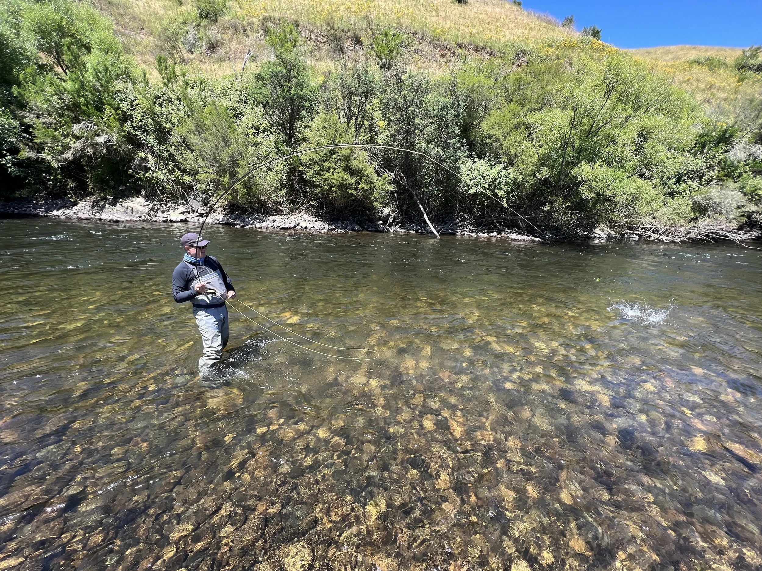Guided fly fishing river trips Vic Australia — Wilderness Fly Fishing