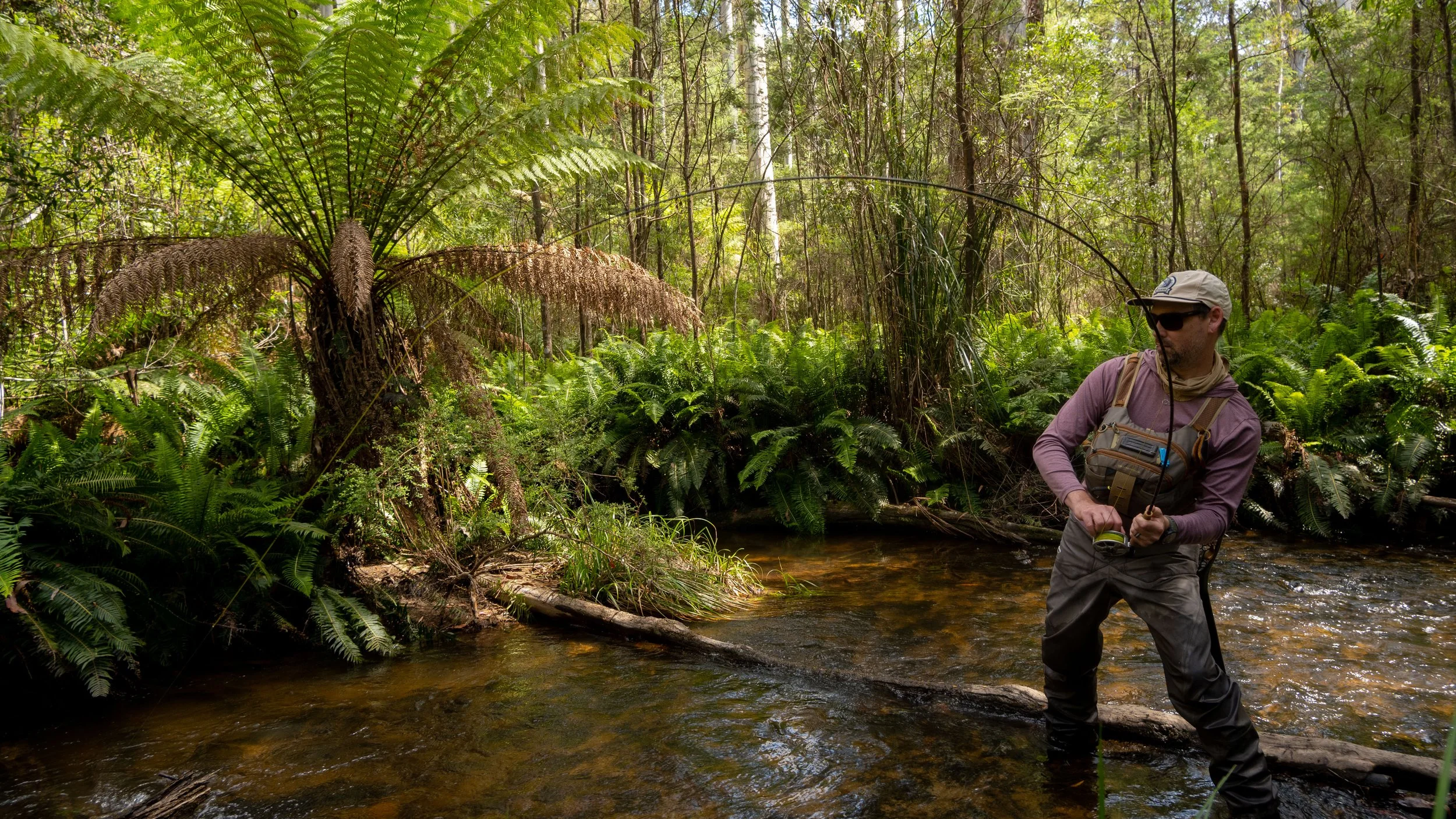 Guided fly fishing river trips Vic Australia — Wilderness Fly Fishing