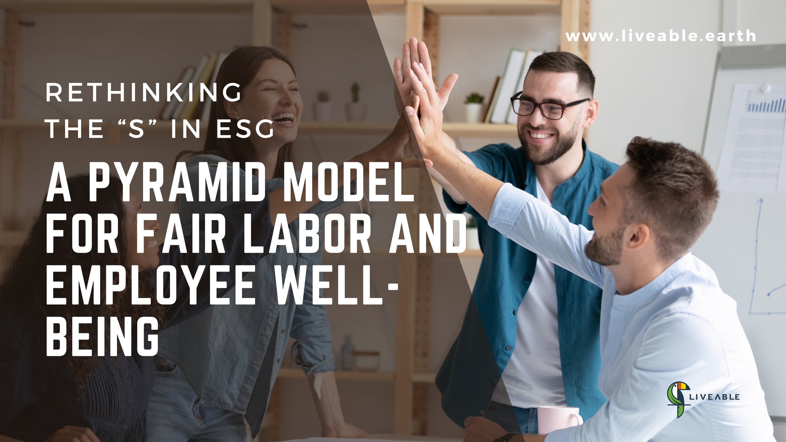 Fair Labor and Well-Being in ESG: A Pyramid Approach to Social ...