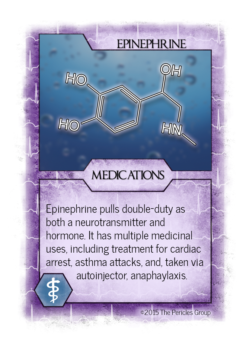 CARD-tamen™ — Stephen Slota | Portfolio