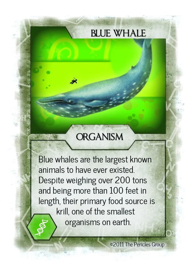 CARD-tamen™ — Stephen Slota | Portfolio