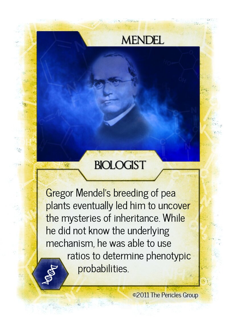 CARD-tamen™ — Stephen Slota | Portfolio