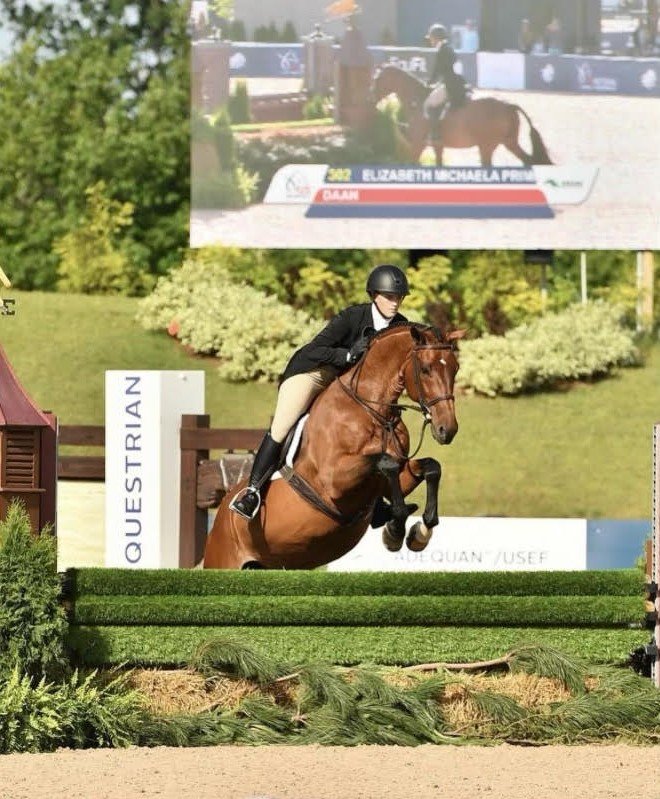 Hunters, Jumpers & Equitation Horses for Sale & Lease — Pennyless Farms