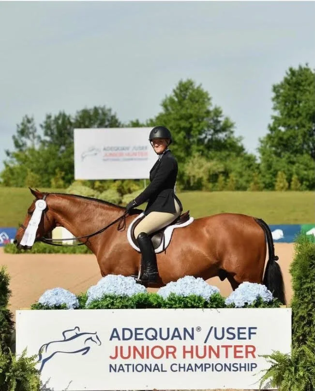Hunters, Jumpers & Equitation Horses for Sale & Lease — Pennyless Farms